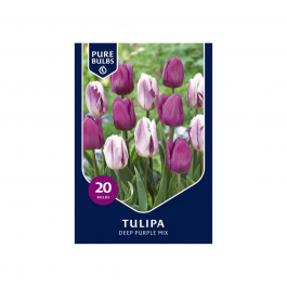 Pure Bulbs Tulipa Deep Purple Mix 15 bollen
